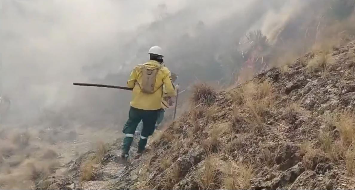 Incendio en Trancas desata alarma en Tarija, el fuego avanza hacia ...