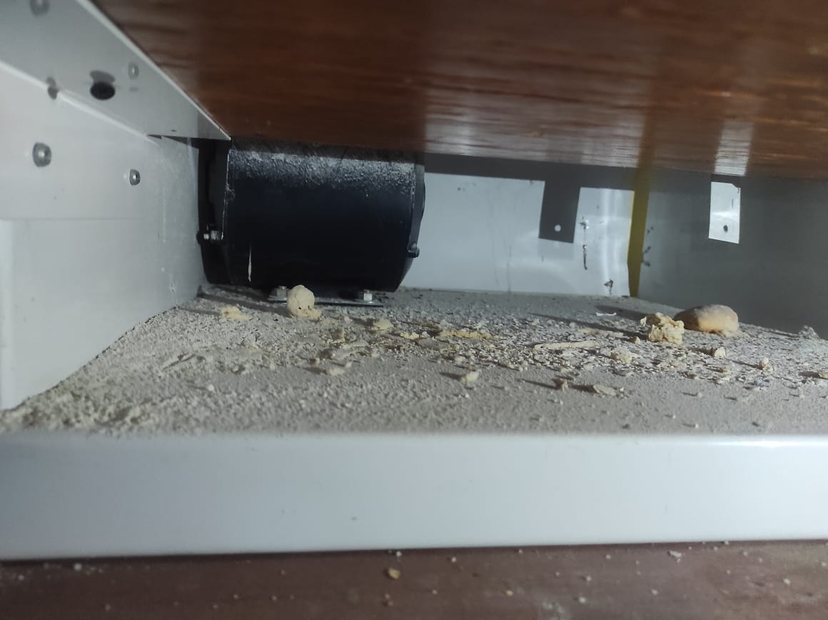 Tarija: Intendencia encuentra heces de ratón en una panadería - Expediente